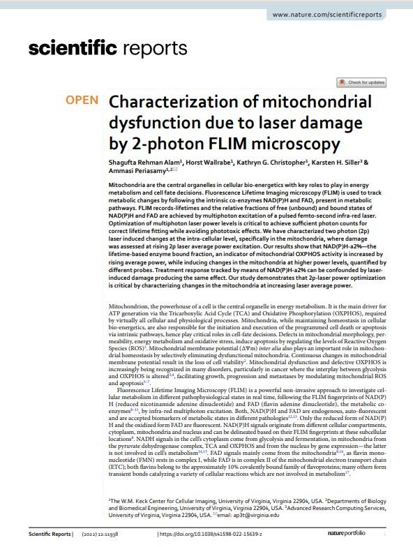 Characterization of mitochondrial dysfunction due to laser damage by 2 ... Characterization of mitochondrial dysfunction due to laser damage by 2 ...